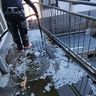 Entrümpelung in Östen: Jetzt Profis finden! | MyHammer
